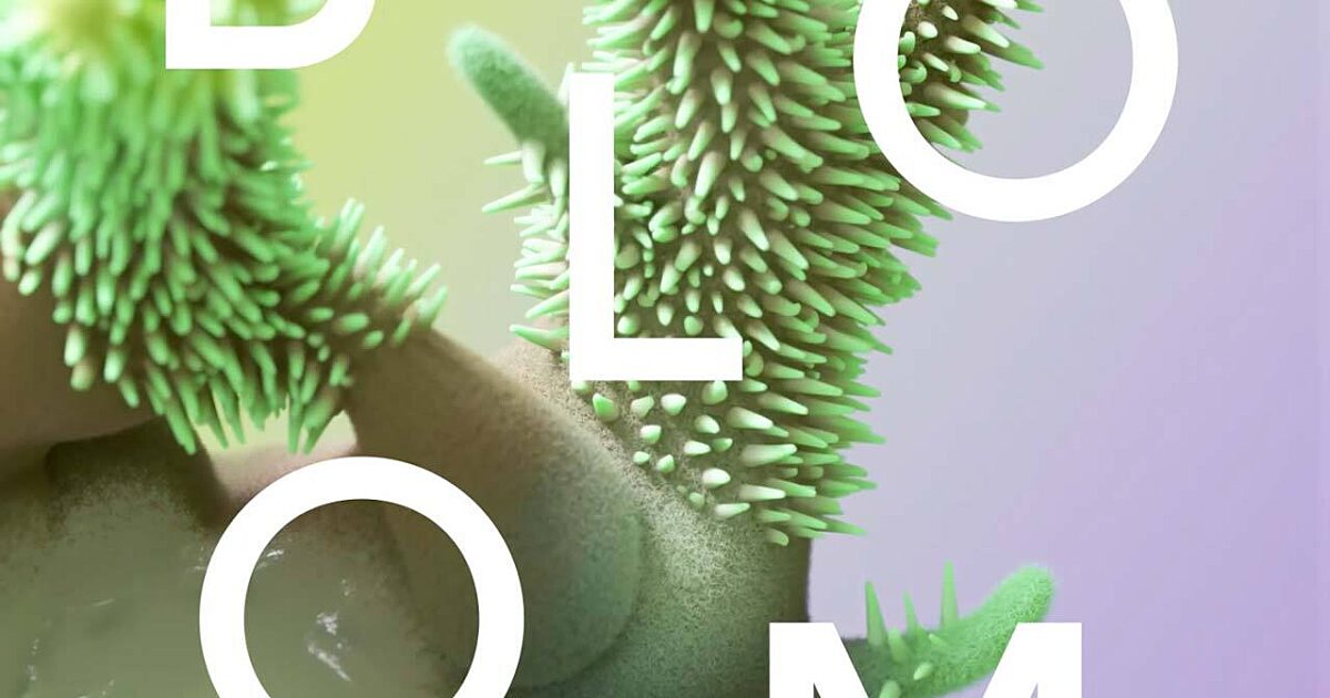 Studio C — BLOOM 2024